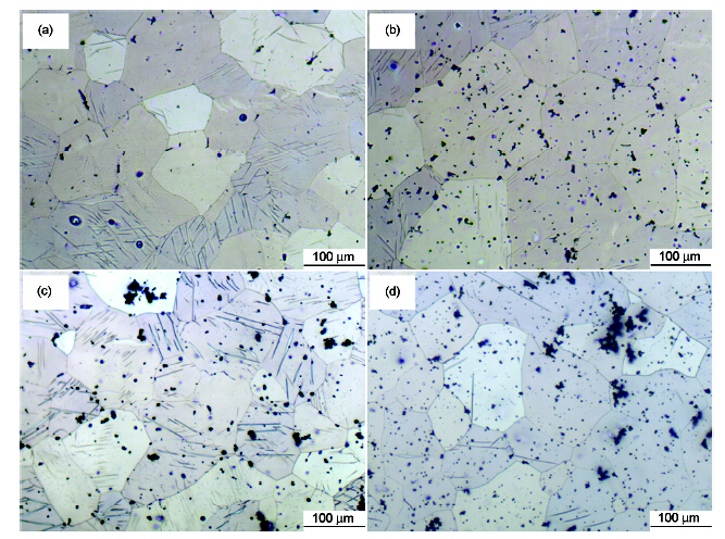 添加Gd对变形镁合金AZ31组织与力学性能的影响