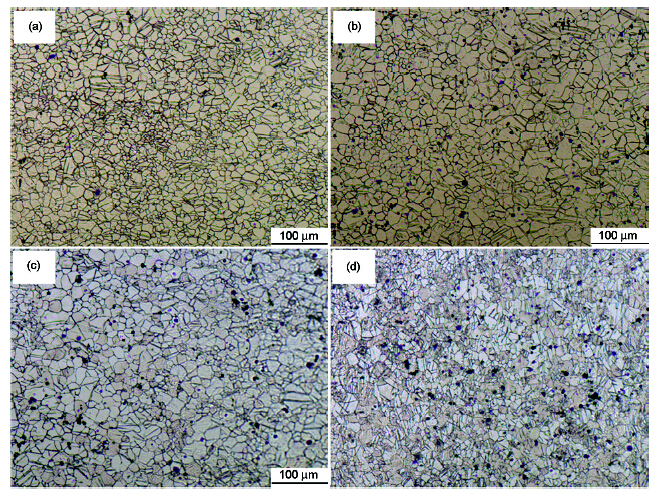 添加Gd对变形镁合金AZ31组织与力学性能的影响