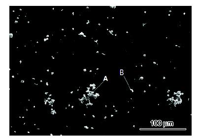 添加Gd对变形镁合金AZ31组织与力学性能的影响