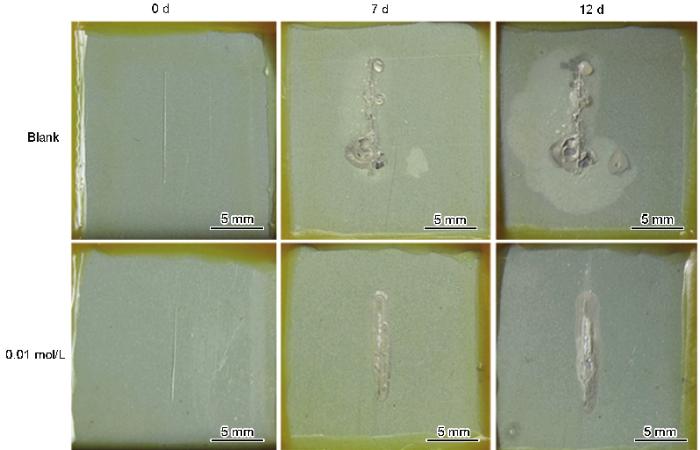 ZrO2掺杂电泳漆环氧涂层的制备及防护性能