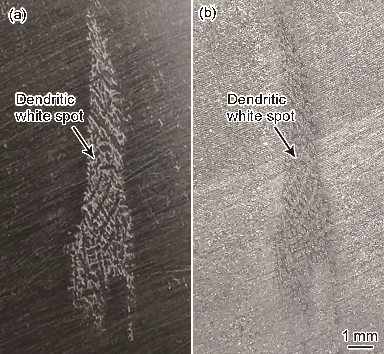 白斑缺陷对 GH4586 合金组织和力学性能的影响