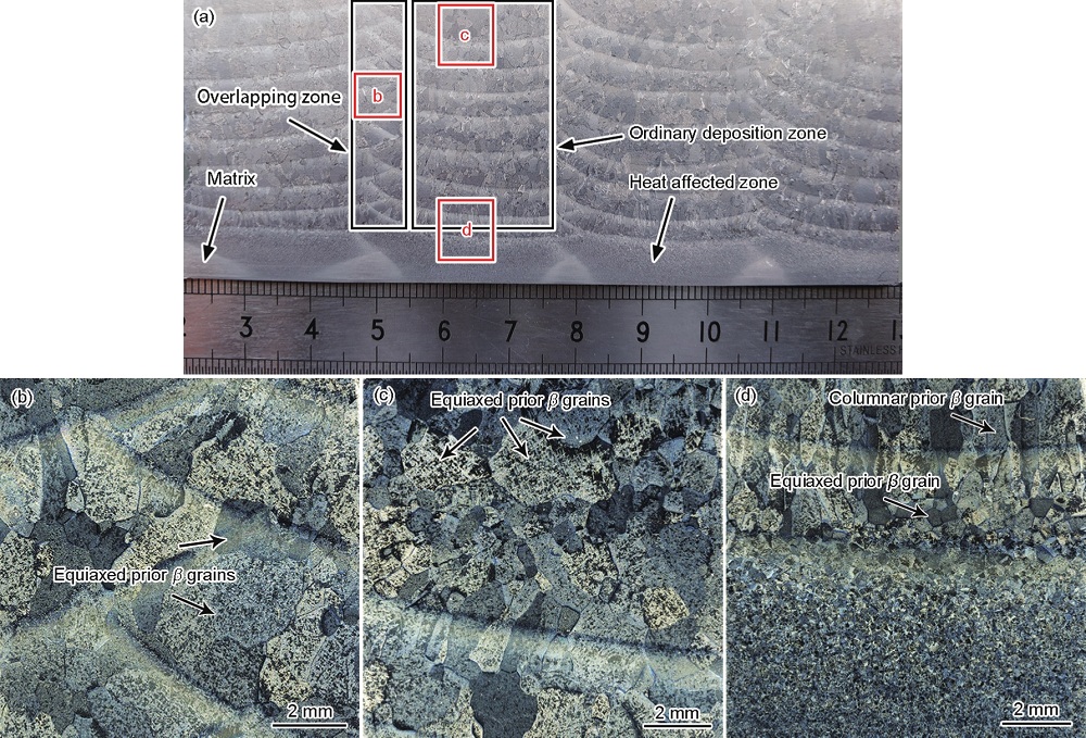 CMT 增材制造 TC4-DT 合金组织均匀性与力学性能一致性研究