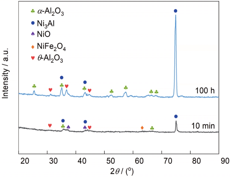 多相 Ni 3 Al 基高温合金微区氧化行为